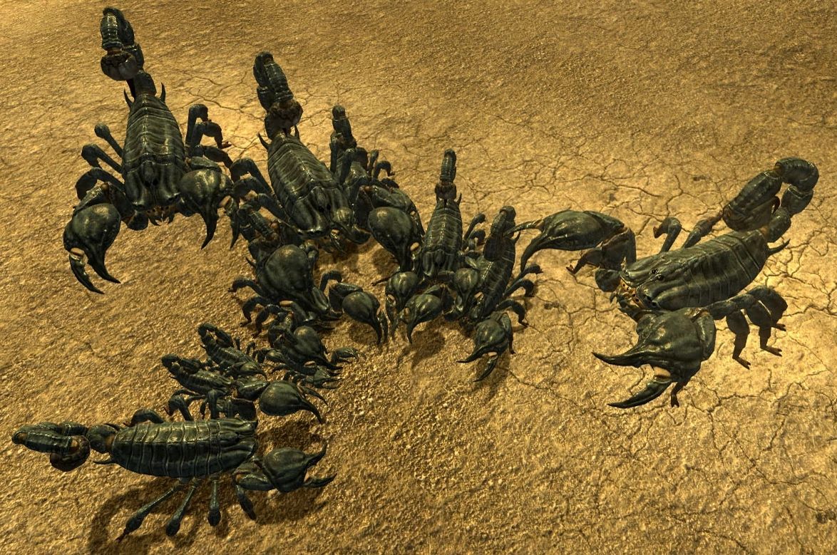 Wild Wasteland: Unmarked Fallout Locations That Are WAY Too Scary