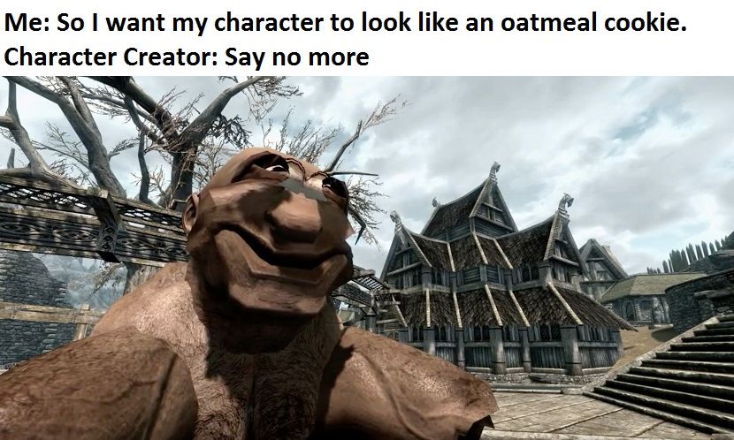 Skyrim Character Creation Memes 30 Skyrim Character Creator Memes That