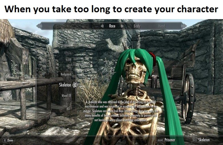 Skyrim Character Creation Memes 30 Skyrim Character Creator Memes That