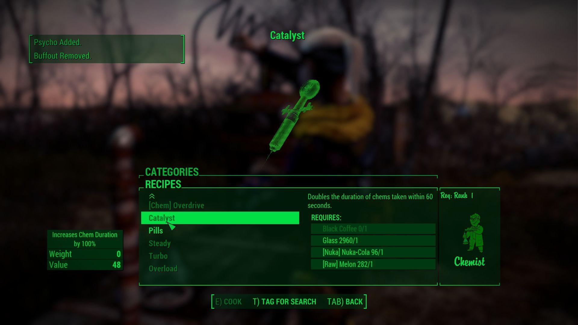 Inappropriate Things You Never Noticed in Fallout 4