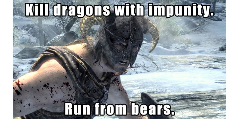 Skyrim Memes That Are Hilariously True