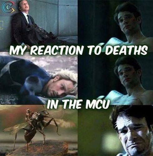 Hilarious Marvel Movie Memes Only True Fans Will Understand