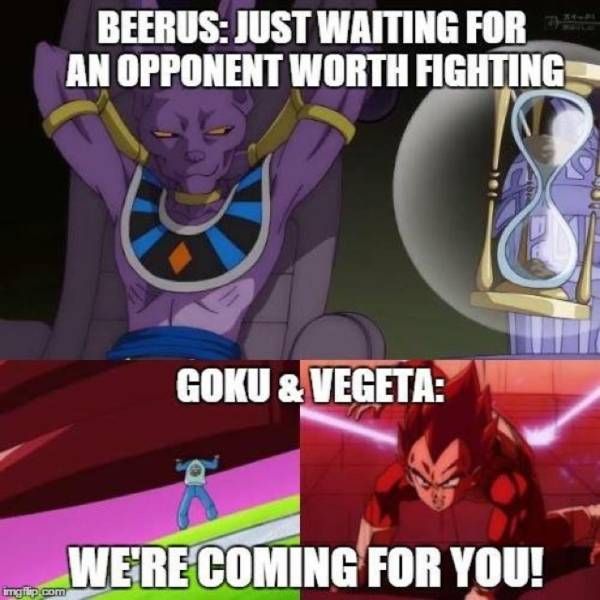 Funny Db Memes