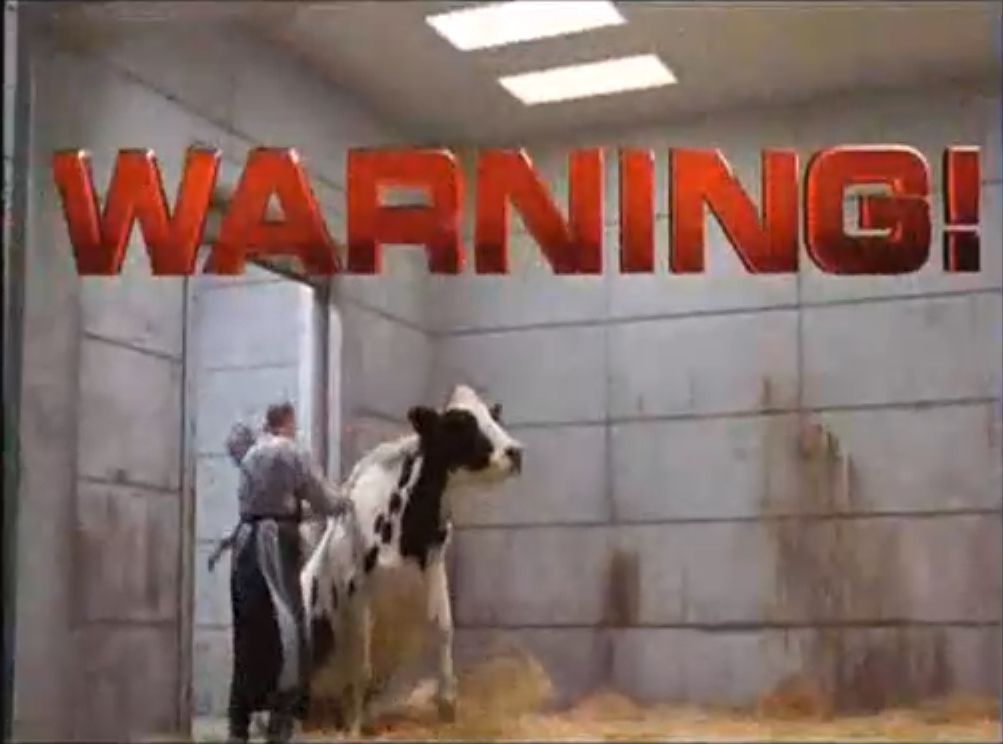 25 Awesome Starship Troopers Secrets That Bug Us To No End