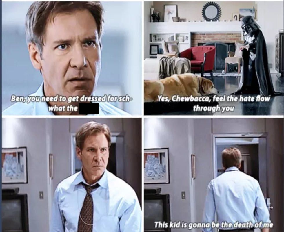 25 Hilarious Star Wars Han Solo Family Memes