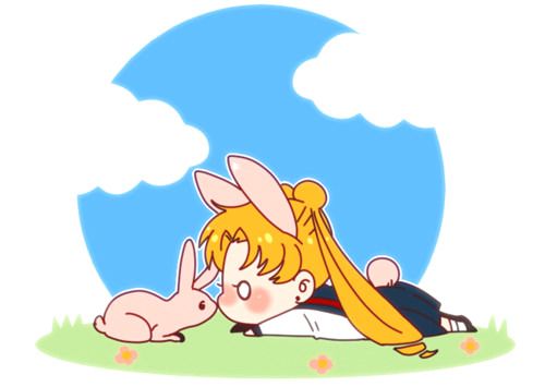 Rabbit On The Moon: 20 Incredible Facts About Sailor Moon