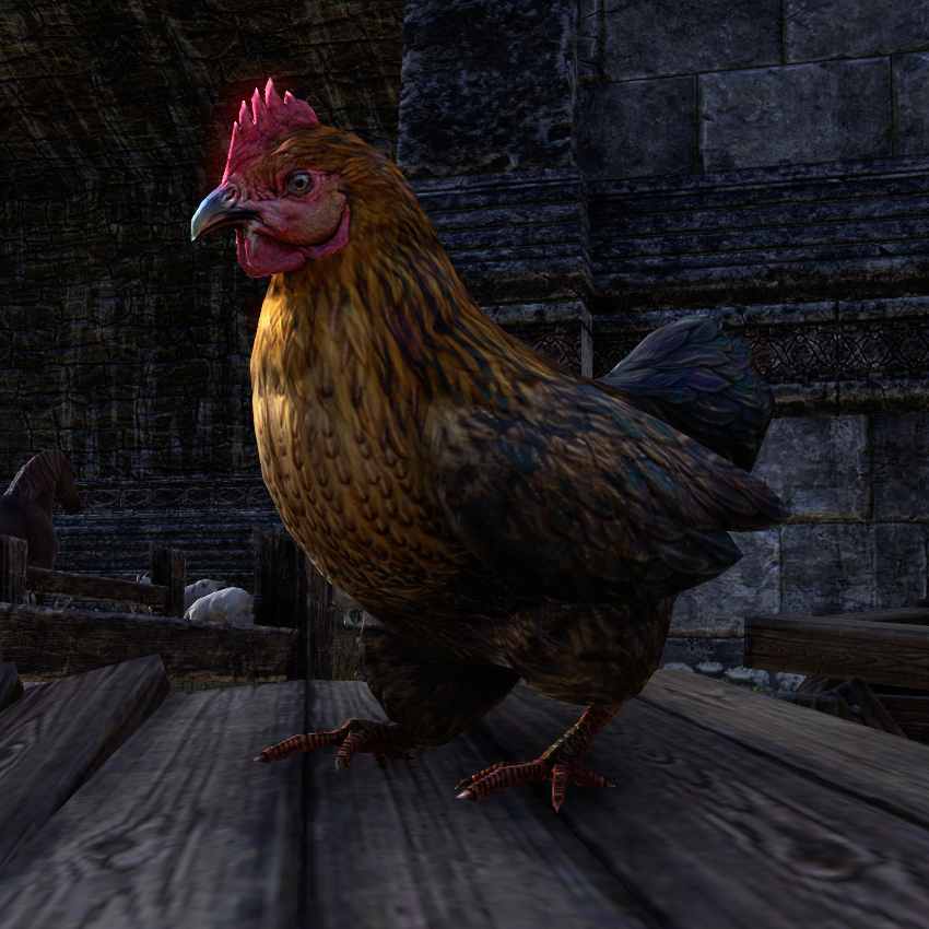 29 Things About The Elder Scrolls Universe That Make No Sense