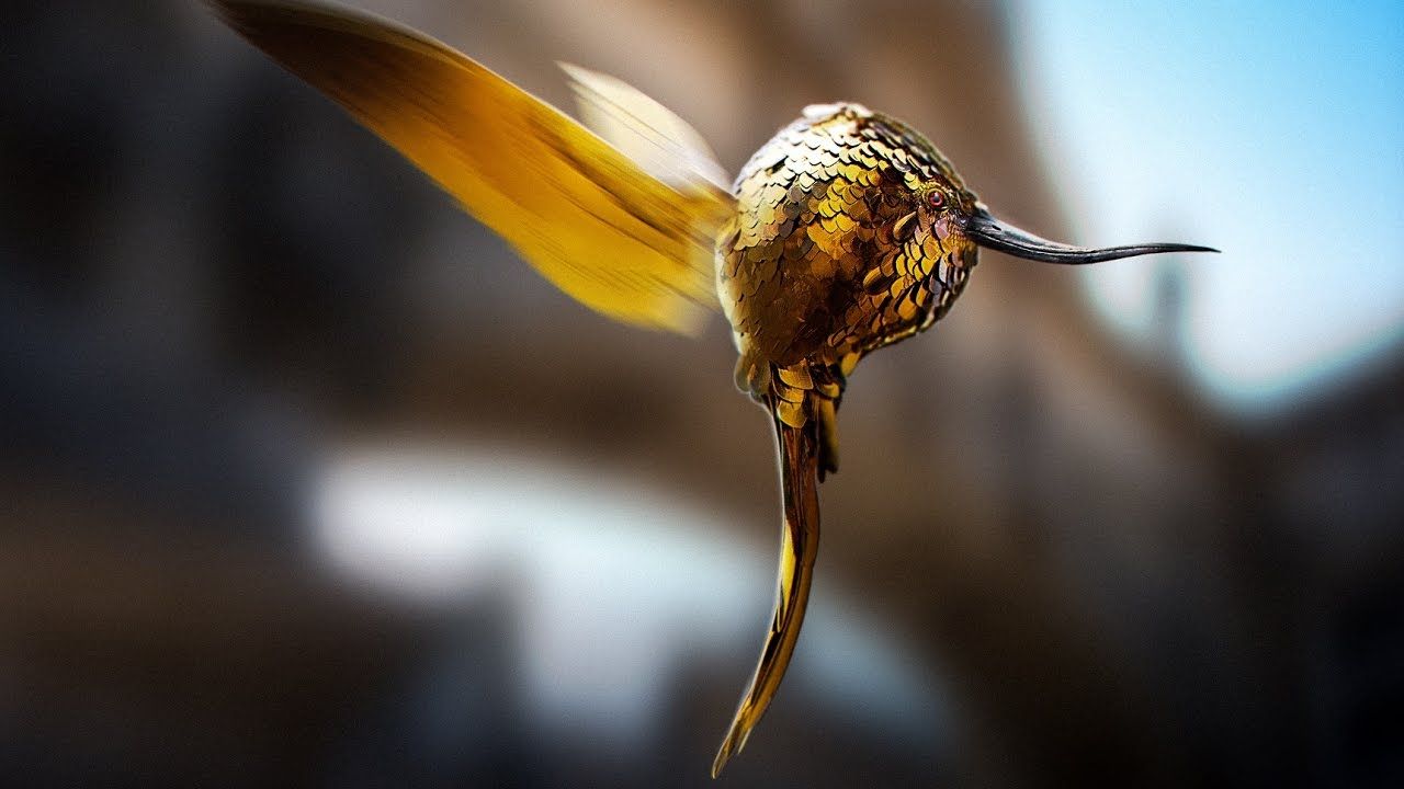 Harry Potter: 25 Ridiculous Things About Quidditch Only Potterheads ...
