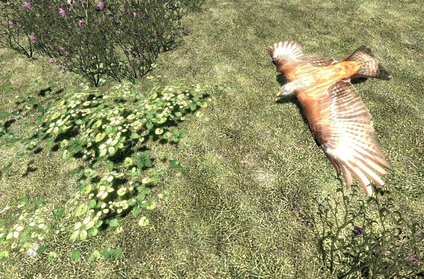 Skyrim: 25 Tricks From The Game Players Have No Idea About