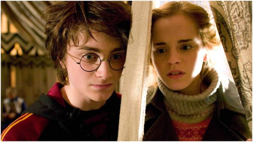 Harry Potter: 25 Hidden Details About Voldemort's Daughter, Delphini