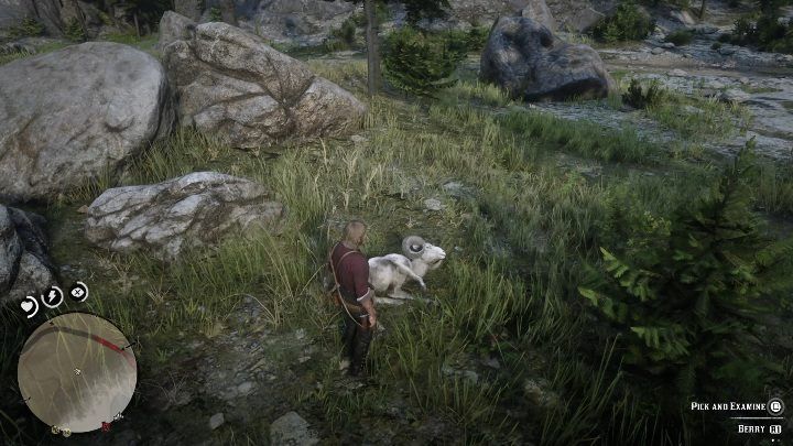 The Ultimate Guide To Legendary Animals in Red Dead Redemption 2