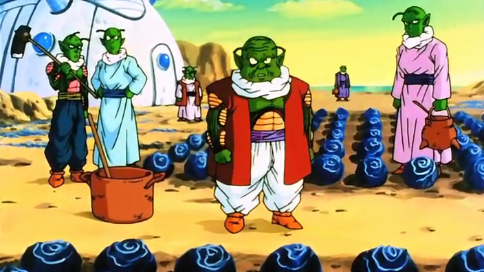 Dragon Ball: 25 Ridiculous Things About Namekians That Everyone Forgets