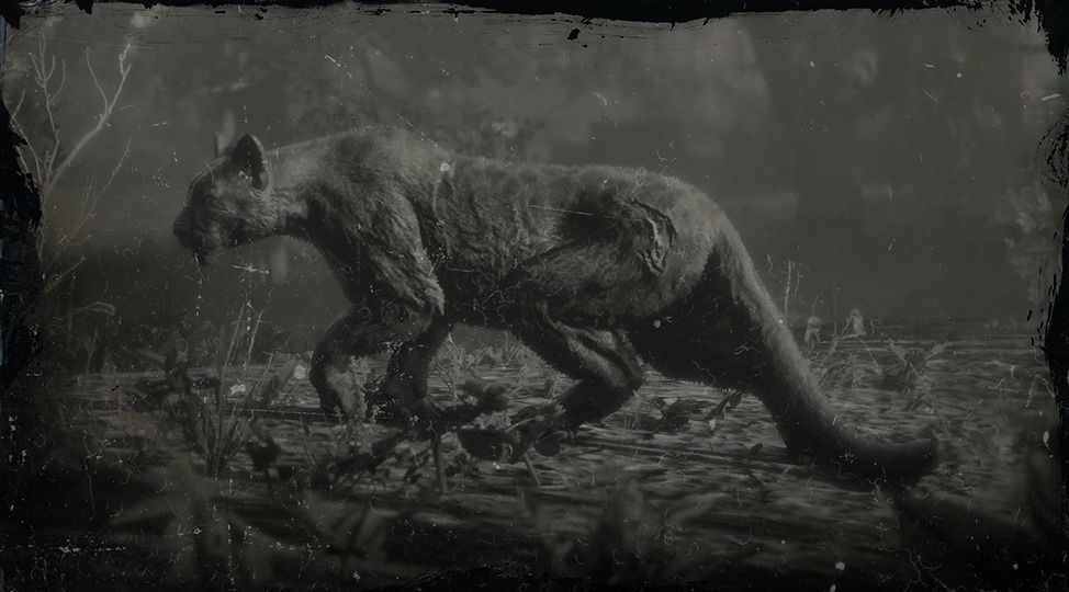 The Ultimate Guide To Legendary Animals in Red Dead Redemption 2
