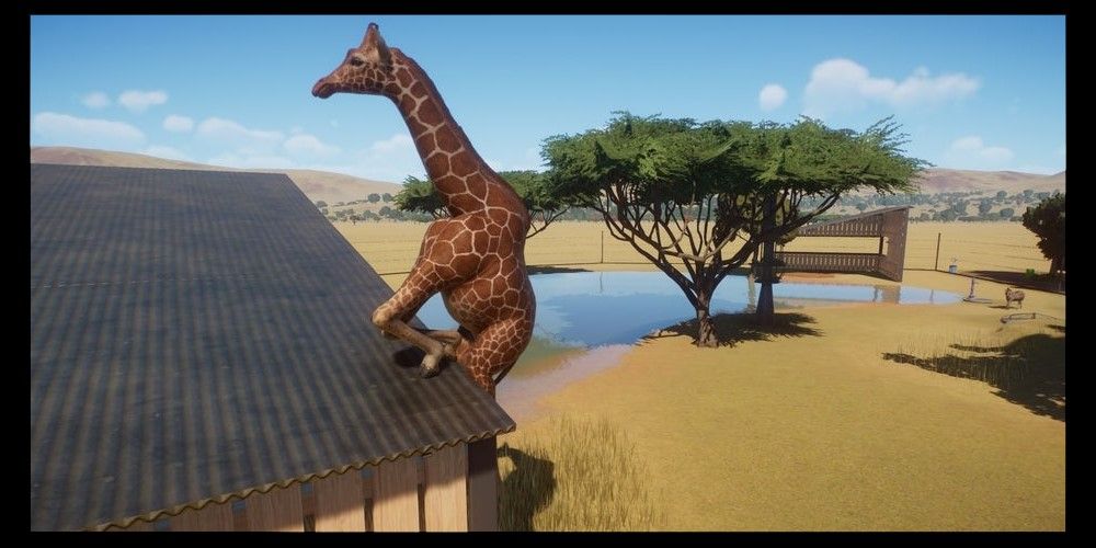 10 Things Frontier Needs To Fix In Planet Zoo Based On The Beta
