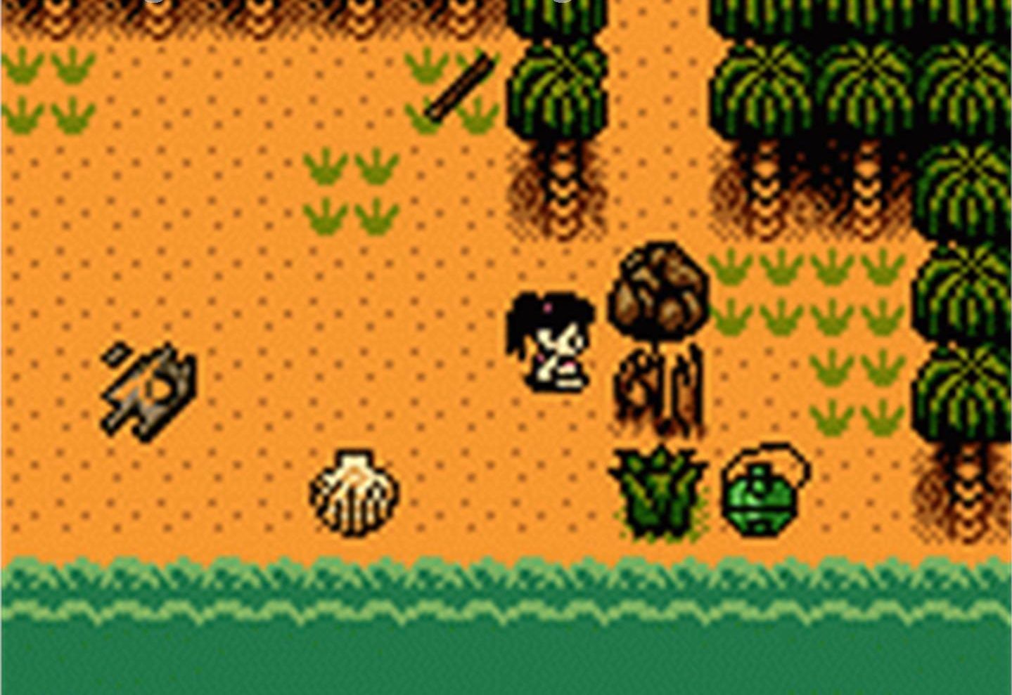 15 Of The Rarest Game Boy Color Games (& What They’re Worth)