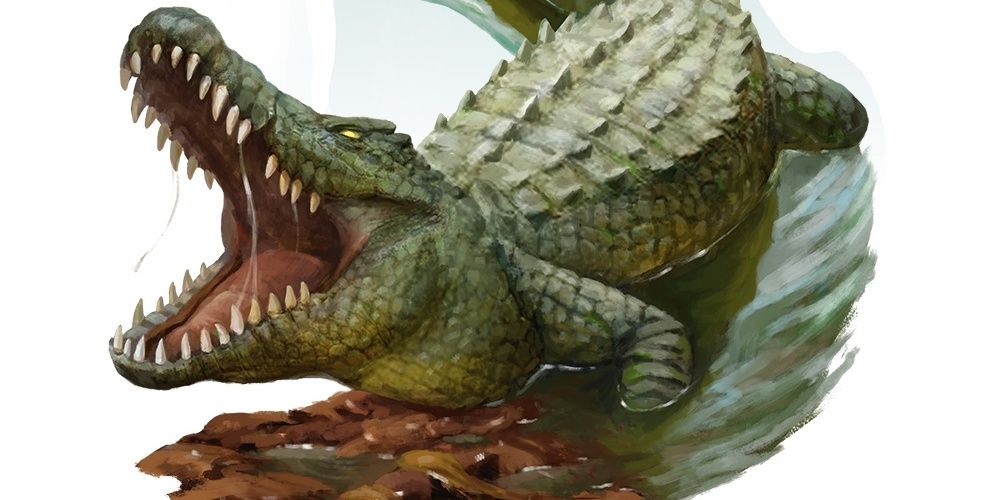 Dungeons & Dragons: 13 Best Druid Wild Shapes, Ranked
