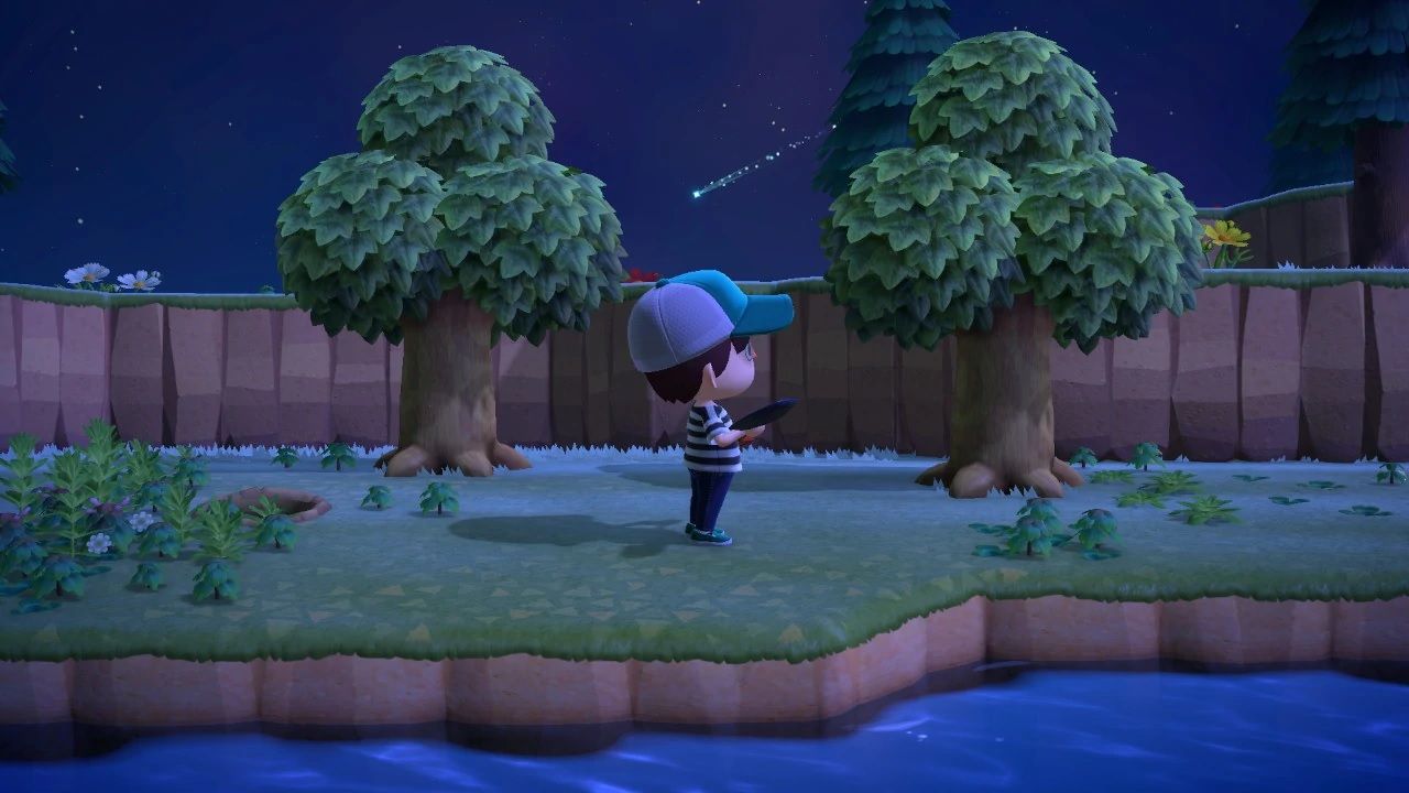 Animal Crossing: New Horizons - What Does Wishing On Shooting Stars Do?