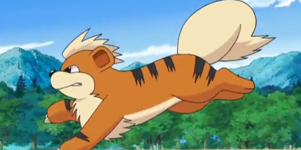 Pokémon: How To Evolve Growlithe (& 14 Other Things You Didn't Know ...