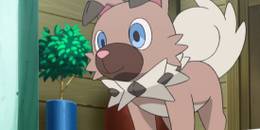 Pok mon The 10 Cutest Rock Types Ranked