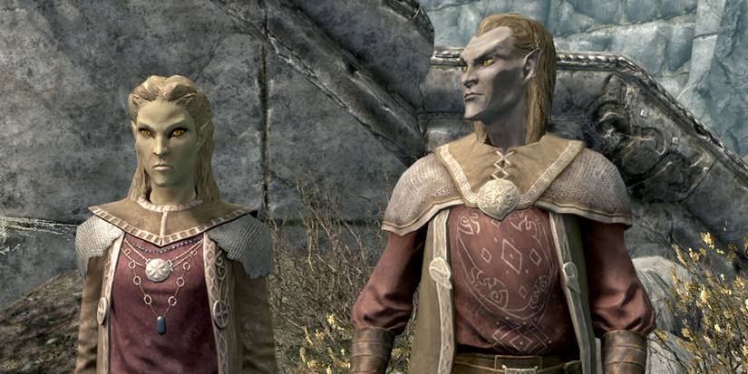 The Best Builds For High Elves In Skyrim