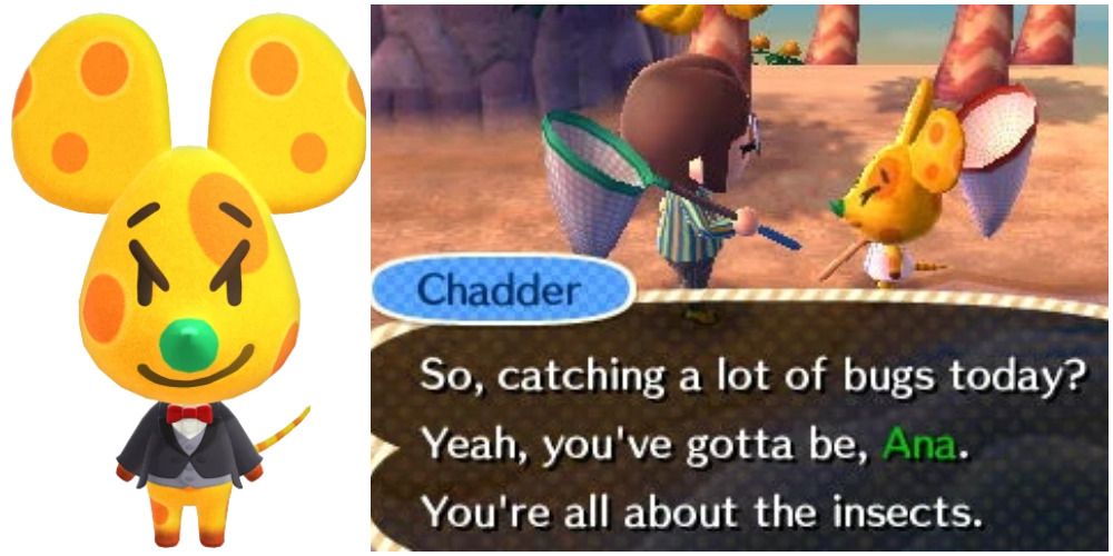 Animal Crossing New Horizons: 15 Villagers You DON'T Want On Your Island