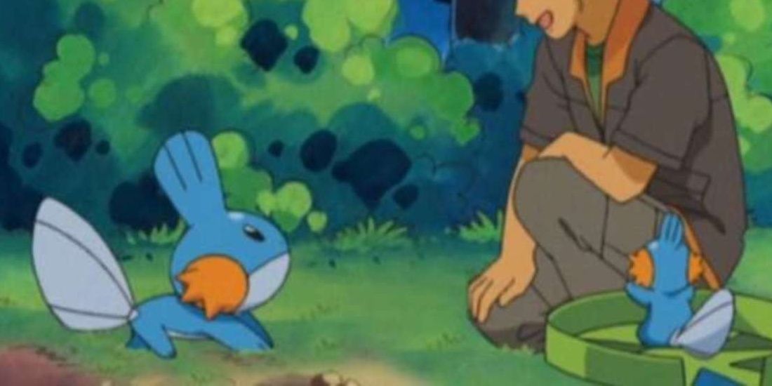 Pokémon: 10 Things You Didn't Know About Mudkip