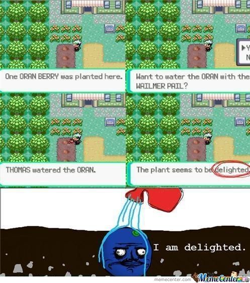 Pokémon: 10 Hoenn Memes Only True Fans Understand