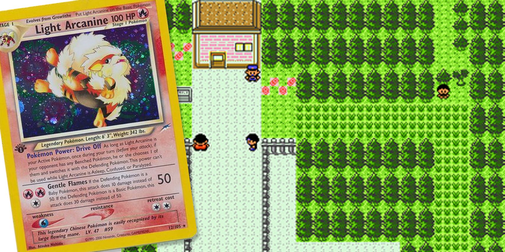 Pokémon TCG: 10 Best Generation 2 Cards, Ranked