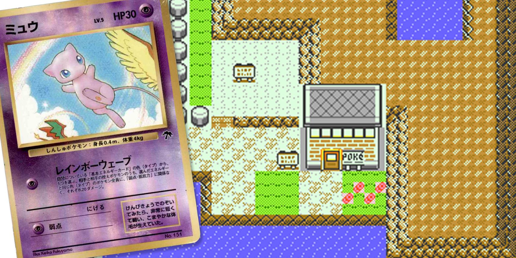 Pokémon TCG: 10 Best Generation 2 Cards, Ranked