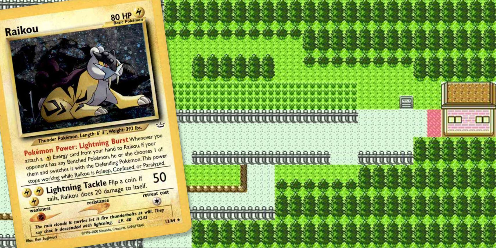 Pokémon TCG: 10 Best Generation 2 Cards, Ranked