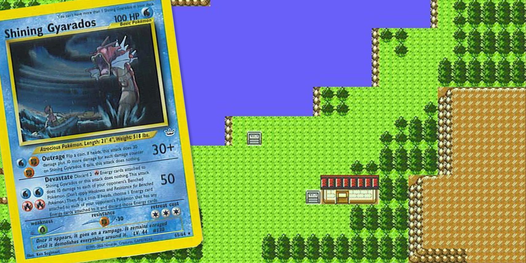 Pokémon TCG: 10 Best Generation 2 Cards, Ranked