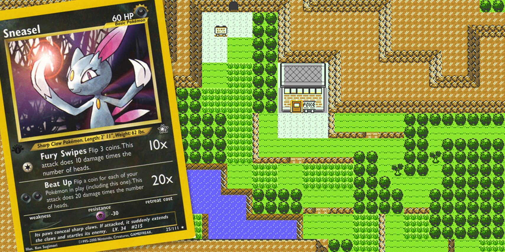 Pokémon TCG: 10 Best Generation 2 Cards, Ranked