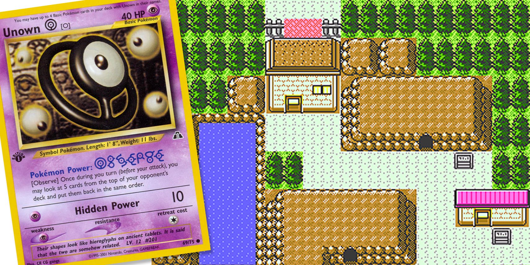 Pokémon TCG: 10 Best Generation 2 Cards, Ranked