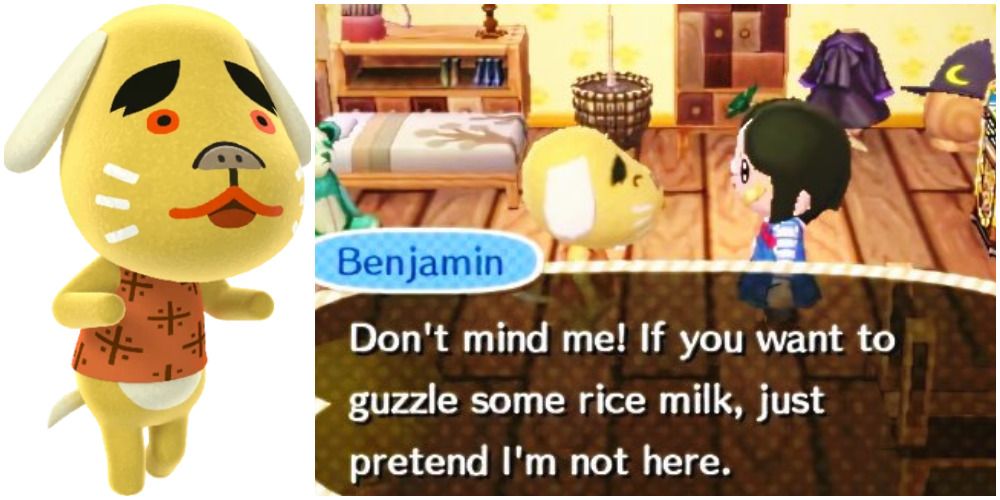 The Cutest Dogs In Animal Crossing: New Horizons, Ranked