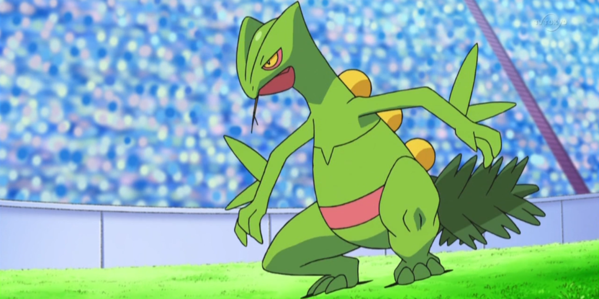 Pokemon Emerald: The 20 Best Hoenn HM Mules