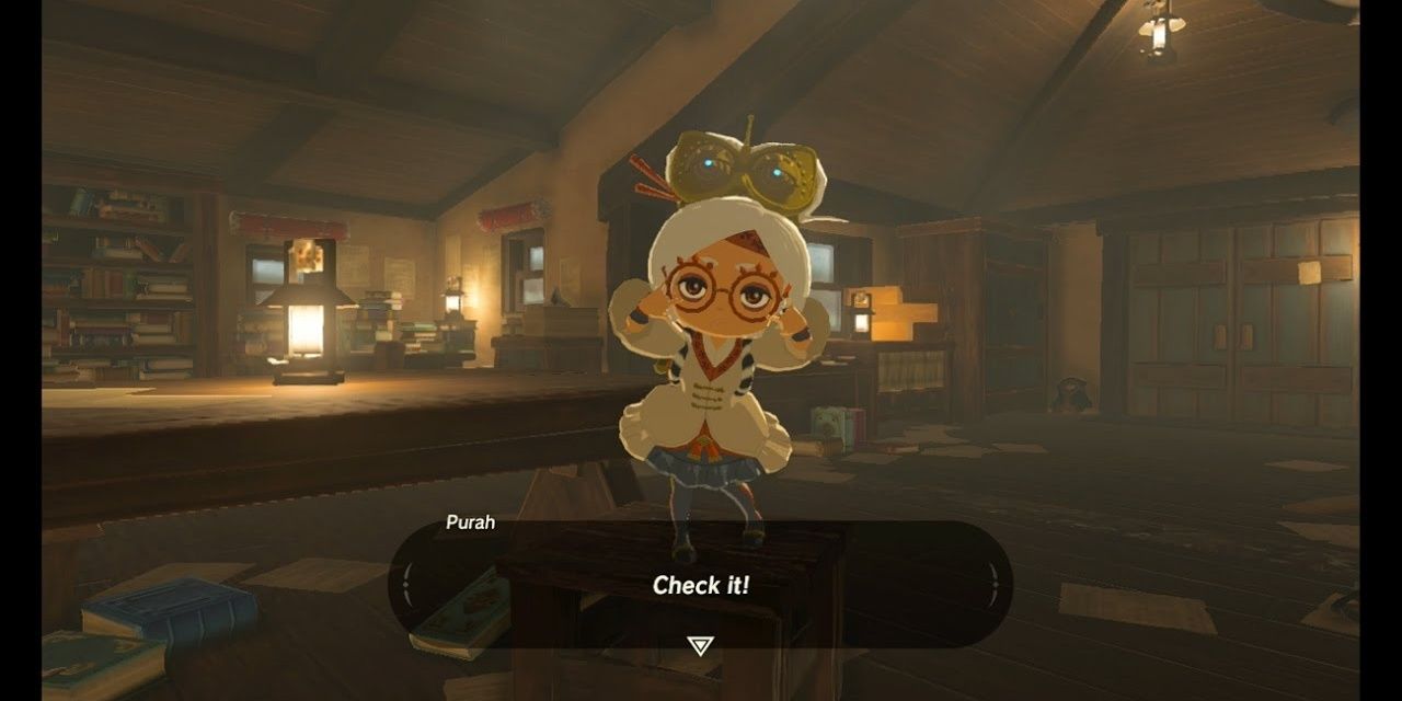 The Legend Of Zelda: Breath Of The Wild - Which Character Are You Based ...