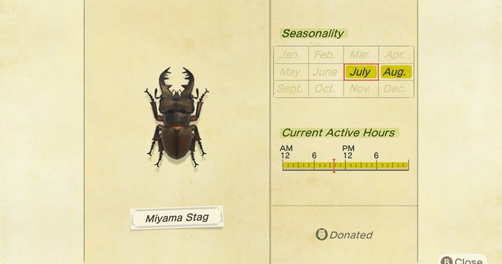 Animal Crossing: New Horizons - How To Catch A Miyama Stag