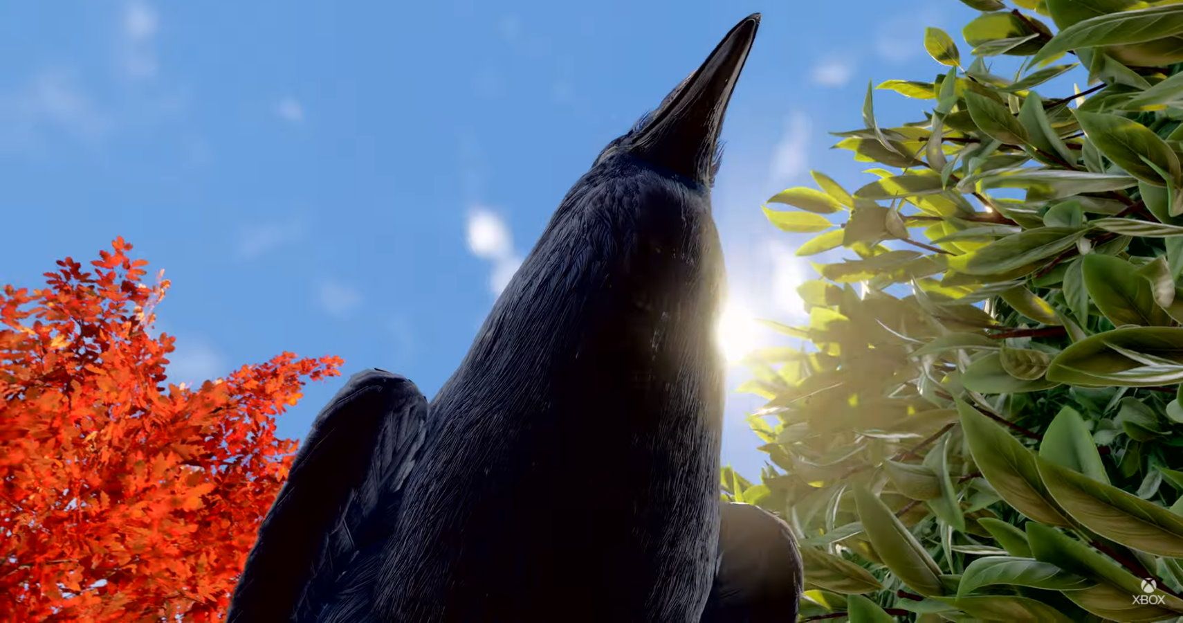 New Grounded Update Adds The Bird