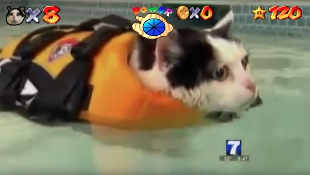 10 Hilarious Mario 64 Memes Only True Fans Understand