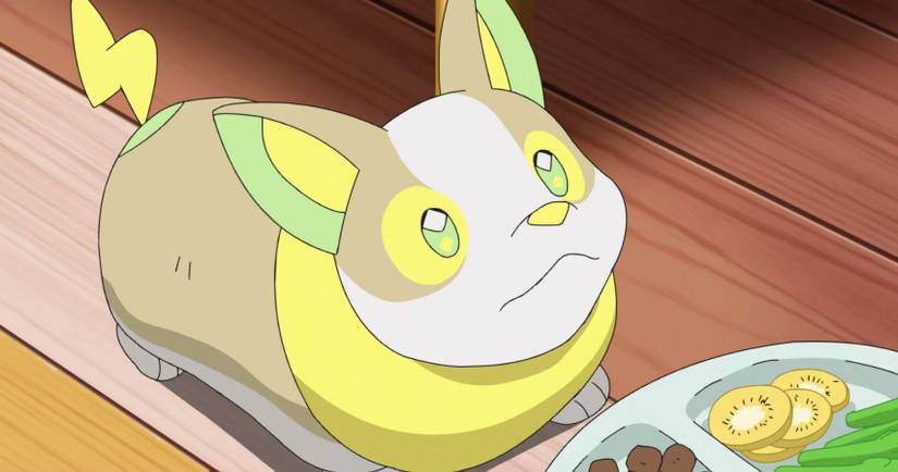 Pokémon Sword & Shield: What Level Does Yamper Evolve & 9 Other Things ...