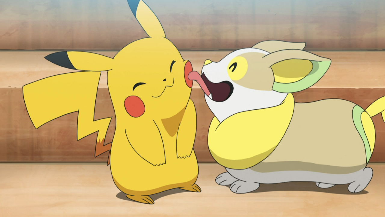 Pokémon Sword & Shield: What Level Does Yamper Evolve & 9 Other Things ...