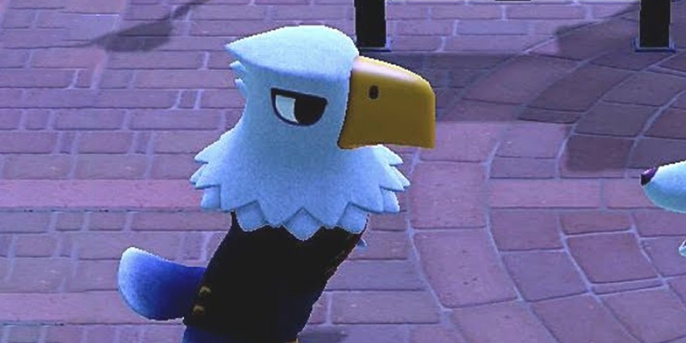 Animal Crossing: The 9 Best Eagle Villagers To Get On Your Island, Ranked