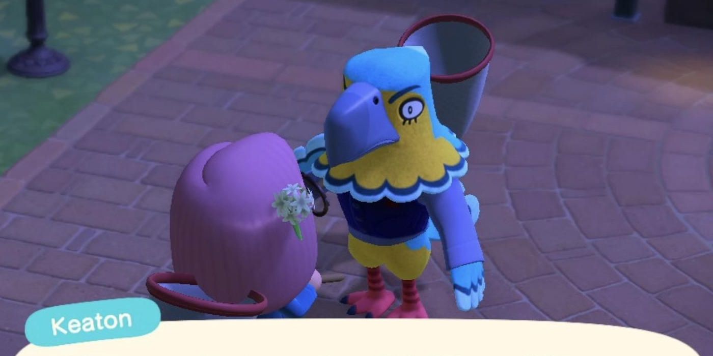 Animal Crossing: The 9 Best Eagle Villagers To Get On Your Island, Ranked