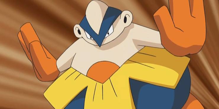 Pokemon Emerald: Top 16 best Hm-mule Pokemon – Zerum Games