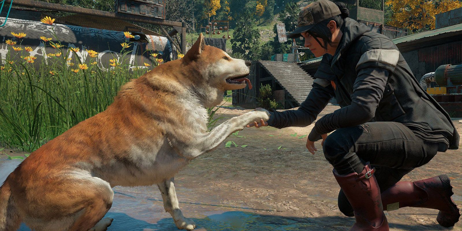 Far Cry: New Dawn - Every Companion In The Game, Ranked From Worst To Best