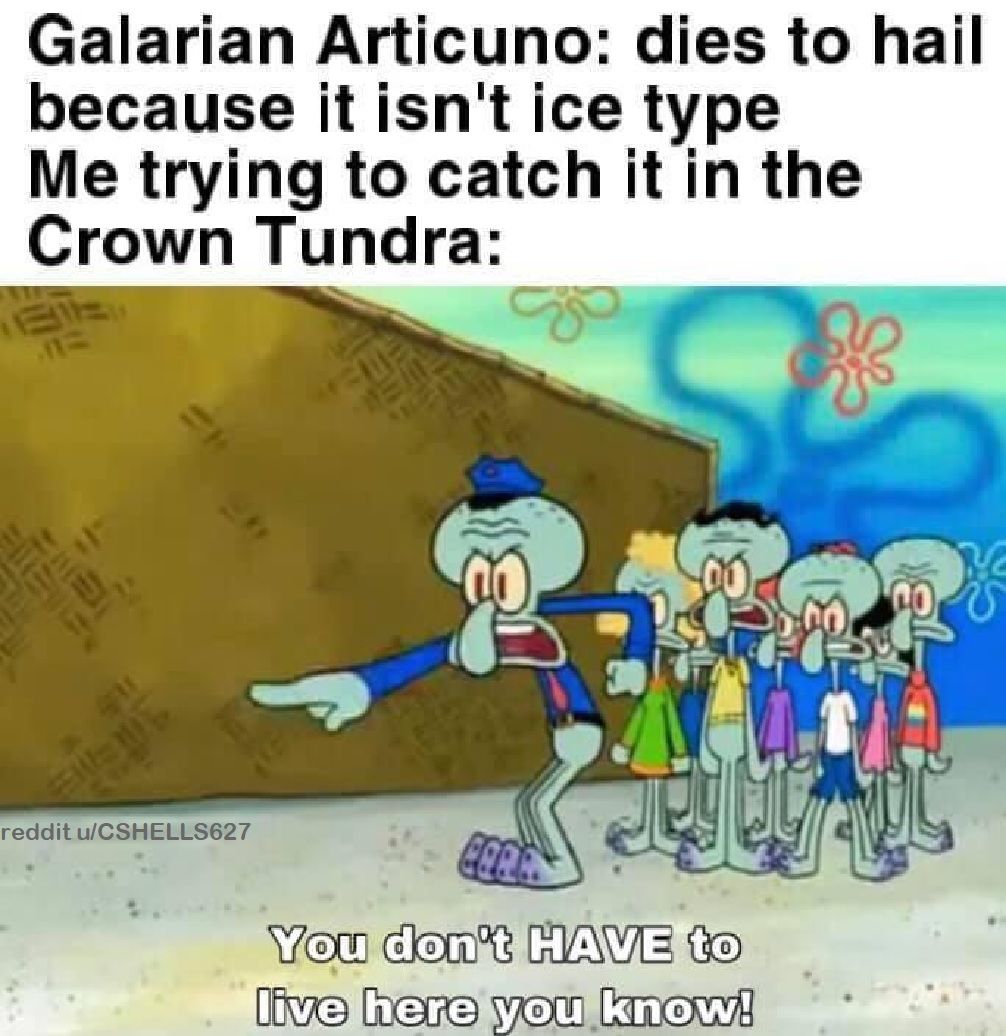 Pokemon: 10 Crown Tundra Memes That Prove The Game Makes No Sense