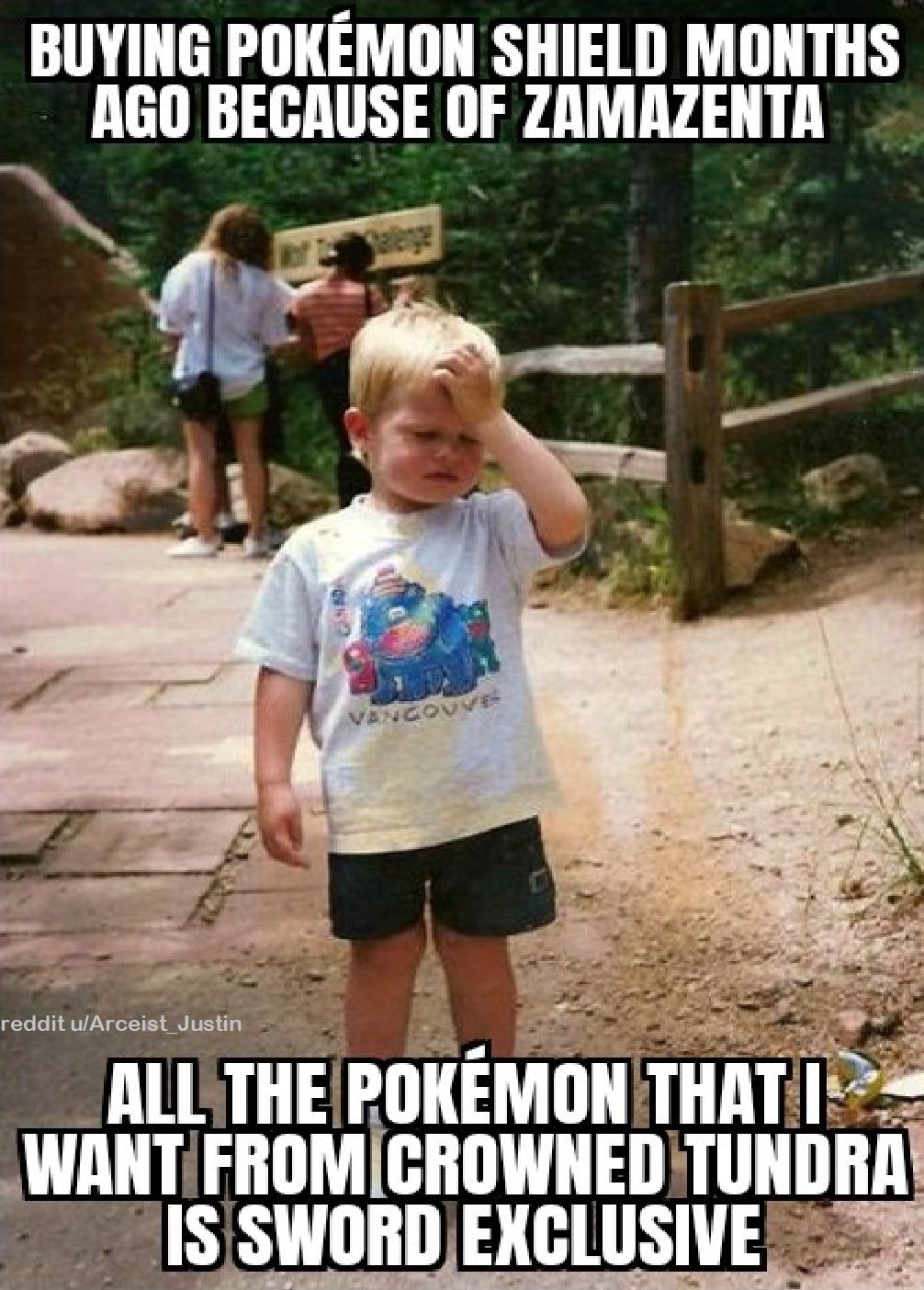 Pokemon: 10 Crown Tundra Memes That Prove The Game Makes No Sense