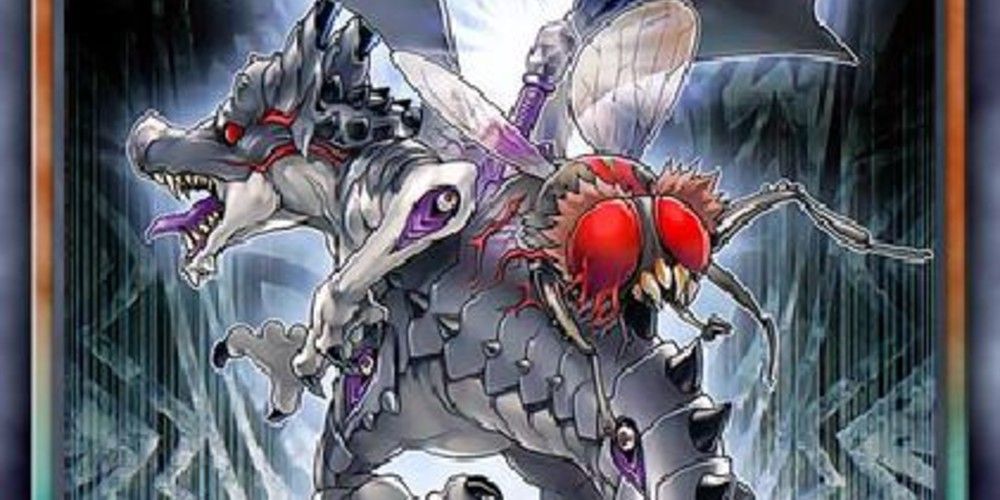 Yu-Gi-Oh! The 10 Best "Amorphage" Cards, Ranked
