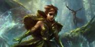 Magic The Gathering The Best Commander Precon Decks Pokemonwe