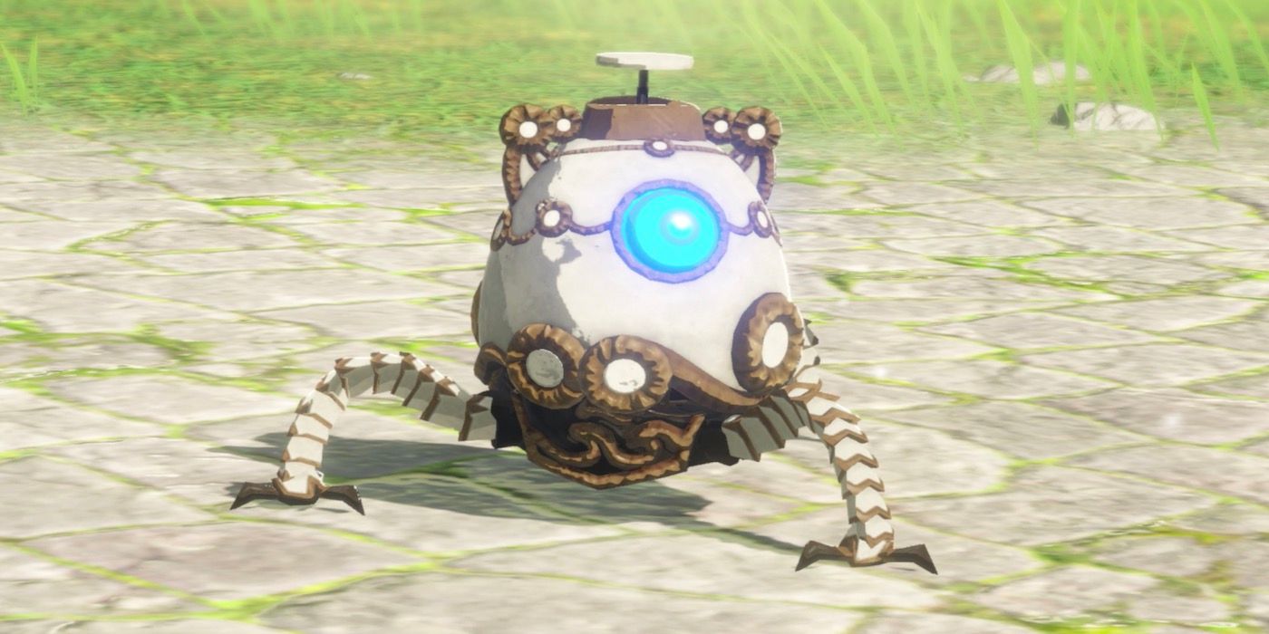 Every Playable Character In Hyrule Warriors: Age of Calamity, Ranked